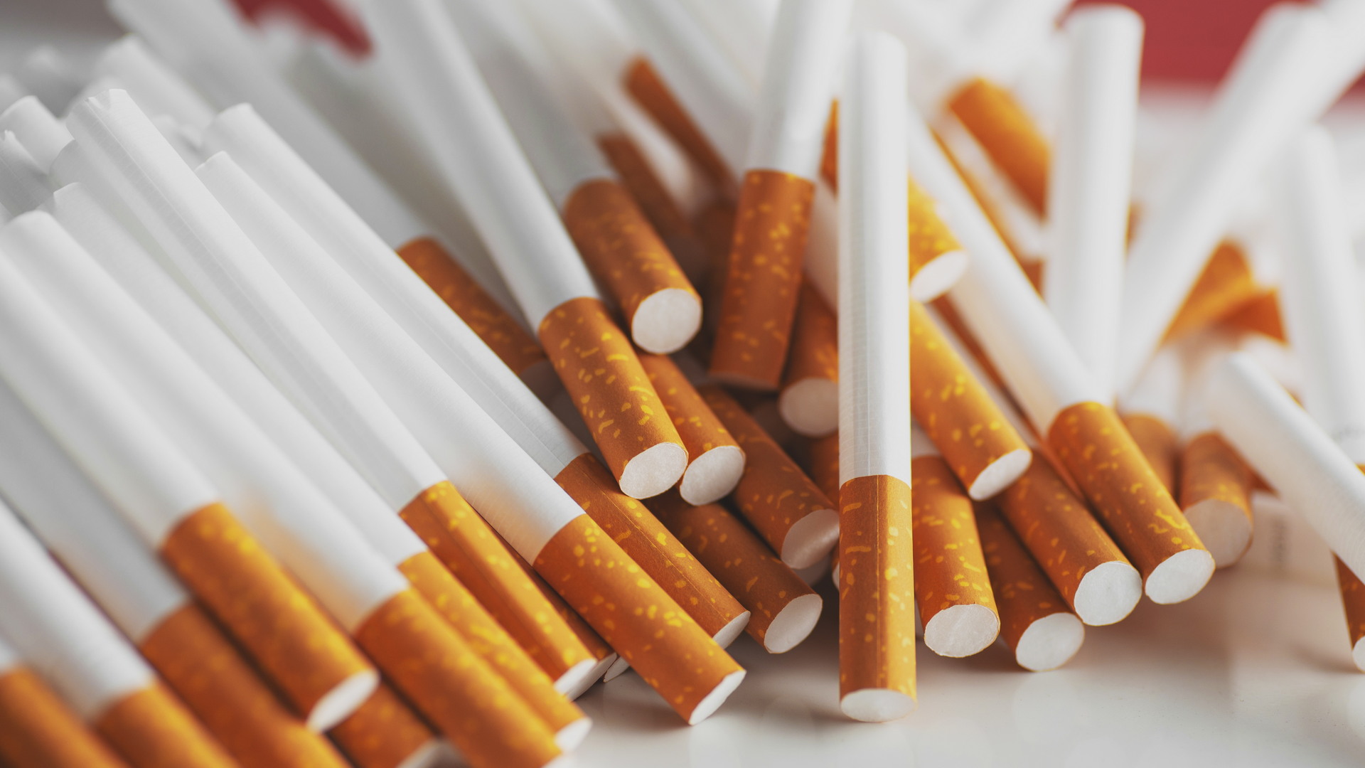 Paper and cigarette filters into new products- solutions for the ...
